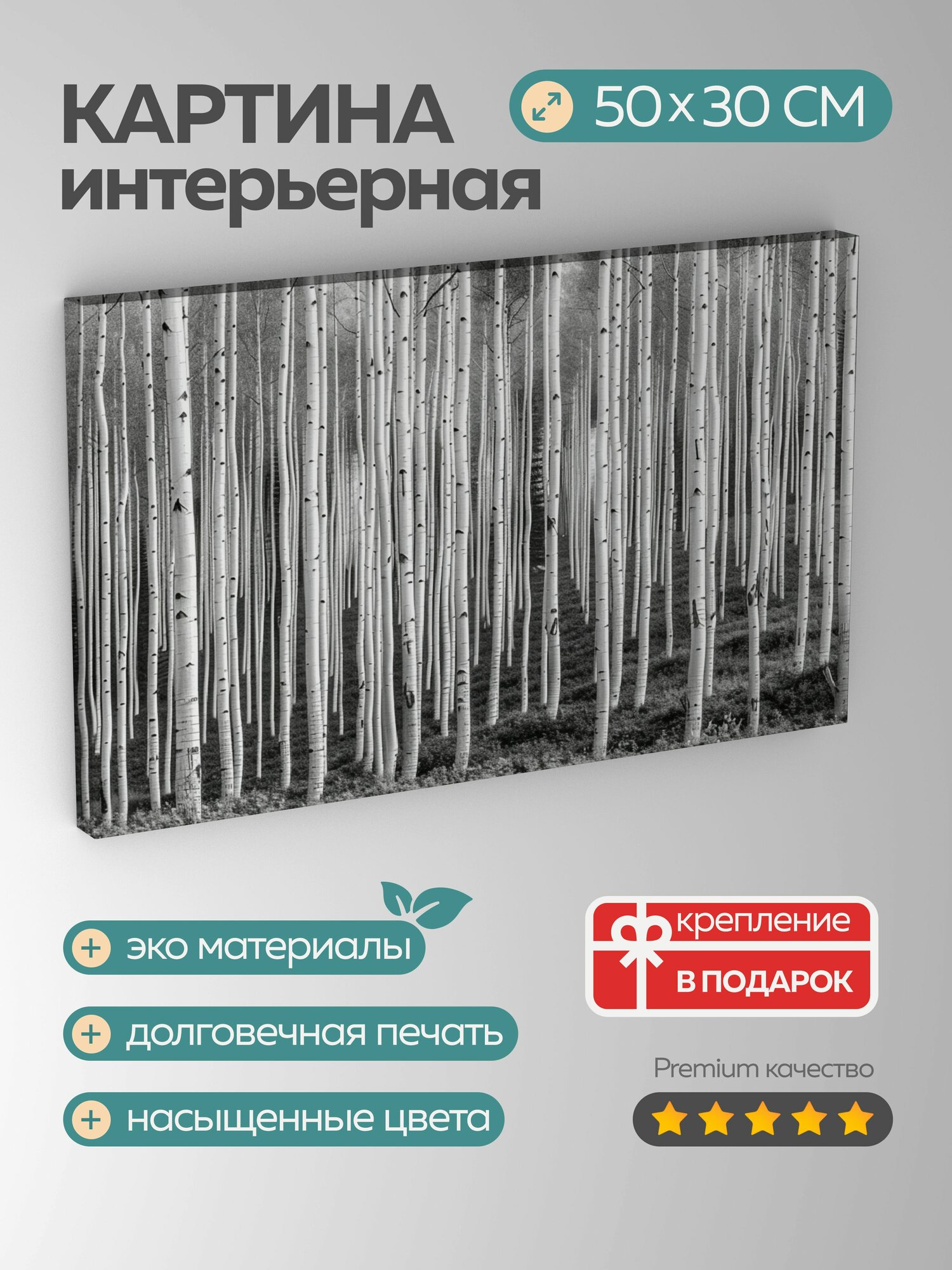 Картина на холсте интерьерная 50х30 см, черно-белая фотография, ритмичный пейзаж, ряды деревьев, стройные деревья, узор