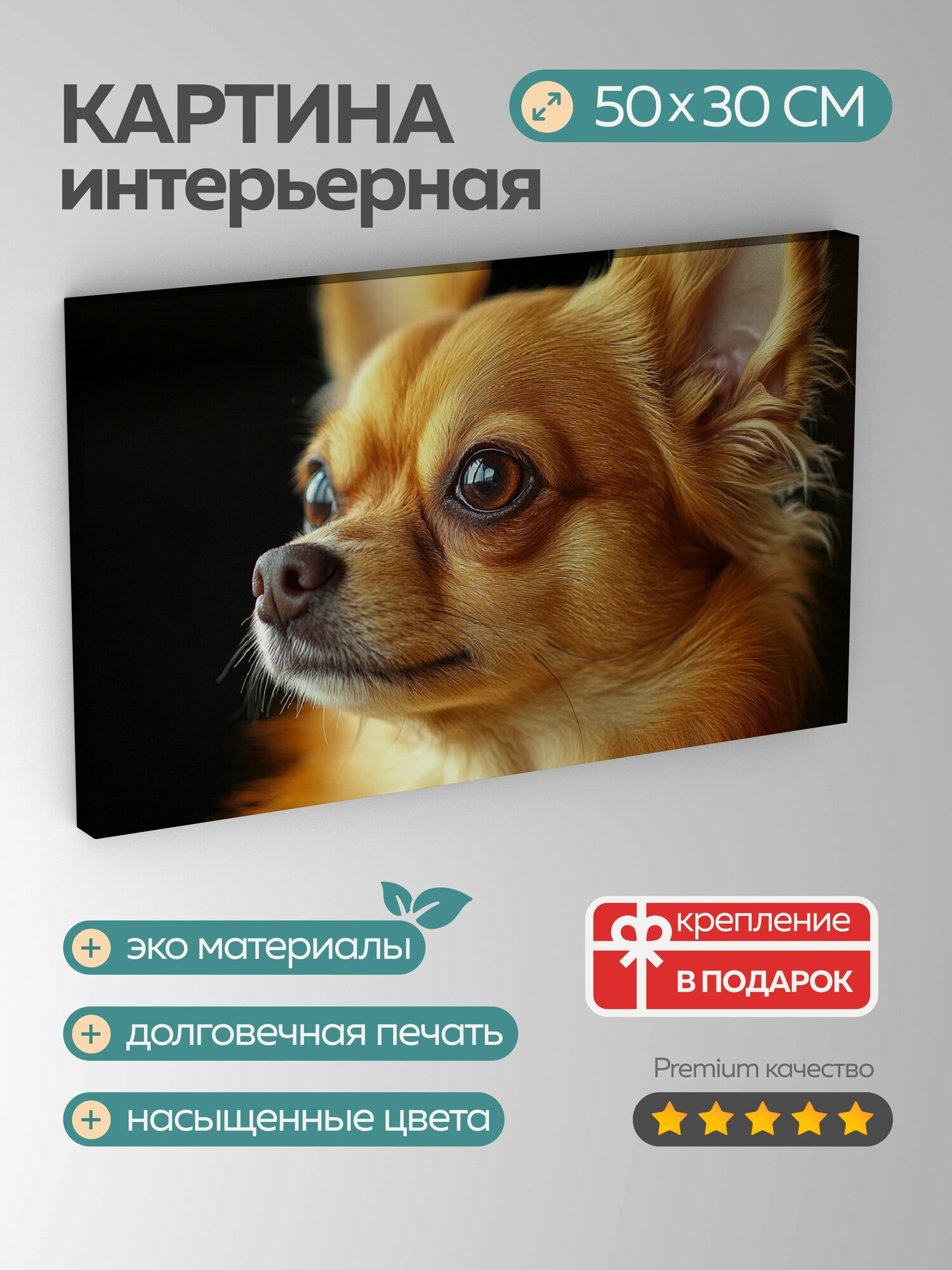Картина на холсте интерьерная 50х30 см, чихуахуа, оранжевая шерсть, высокое разрешение, уникальные черты, внешний вид