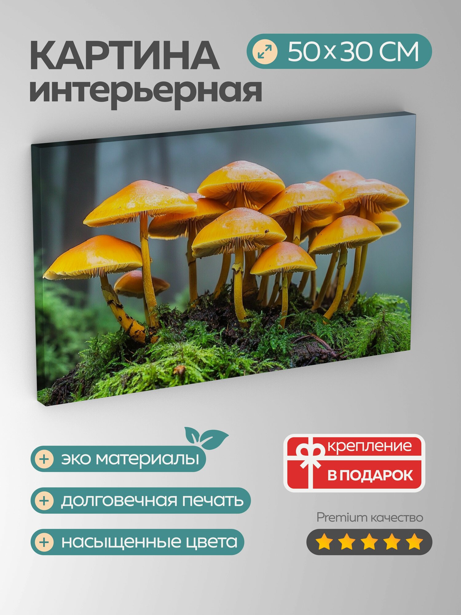 Картина на холсте интерьерная 50х30 см, грибы, лес, туман, влажность, текстуры, цвета, четкость, глубина резкости