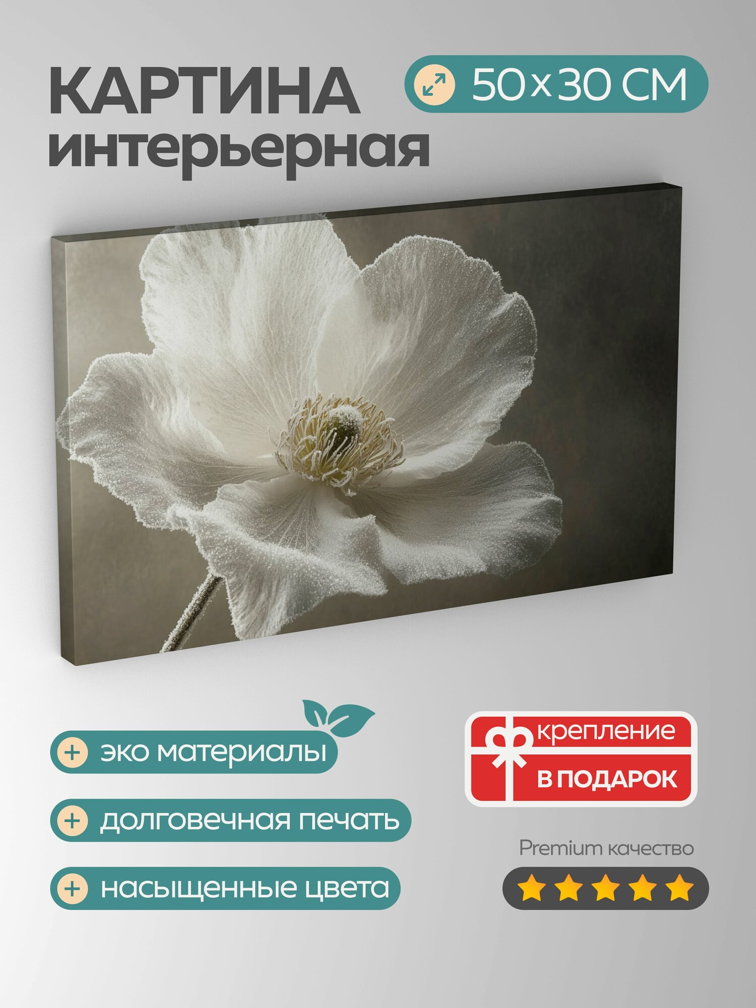 Картина на холсте интерьерная 50х30 см, цветок, иней, зима, красота, природа, сияние, одинокий, фотография, мягкий