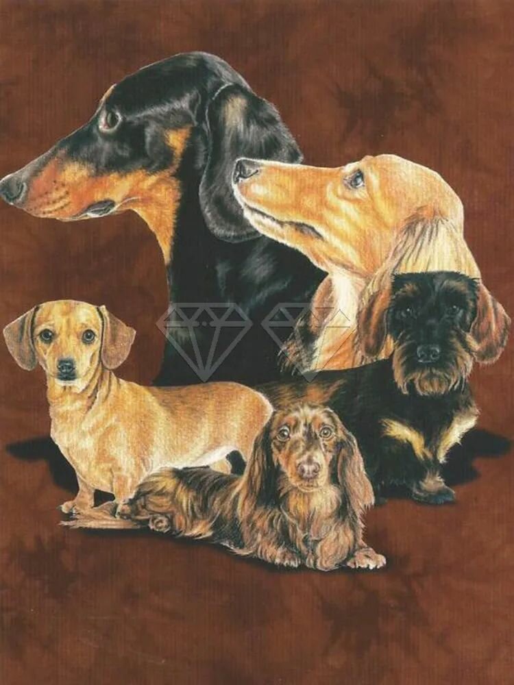 Алмазная картина "Хаски Корги" алмазная огранка 40х50 см,40X50CM, белый