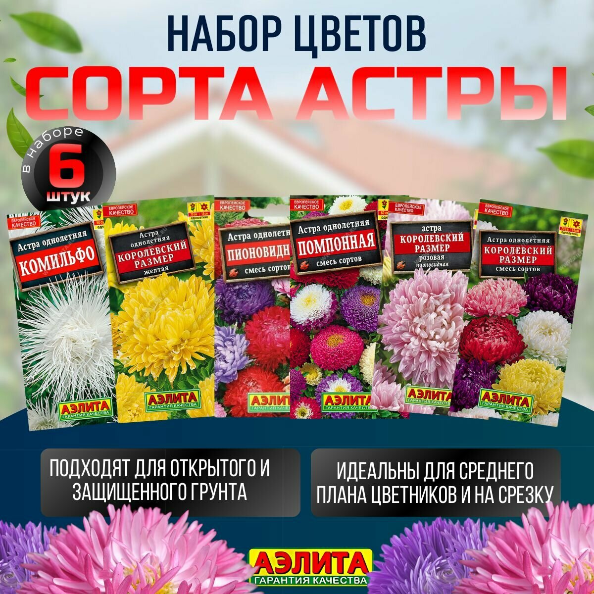 Набор семян однолетних астр 6 штук