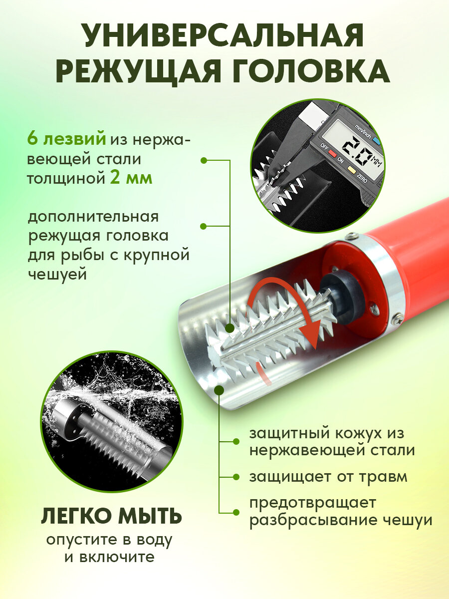 Рыбочистка — фото 1