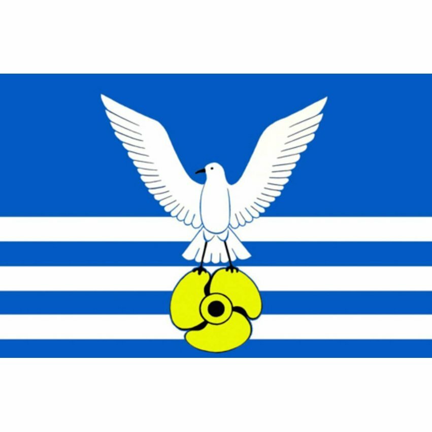 Флаг Большого Камня 135x90 см.