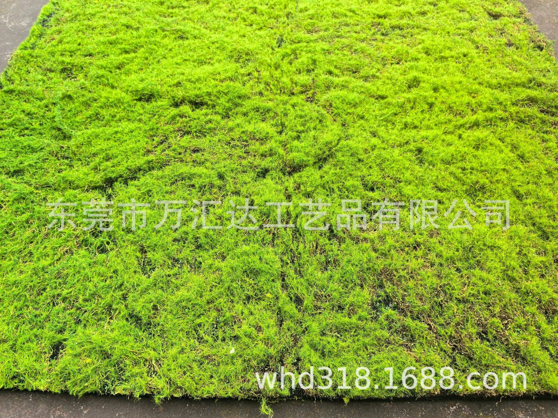 Искусственный мох WHD09, вечнозеленый, для декора стен