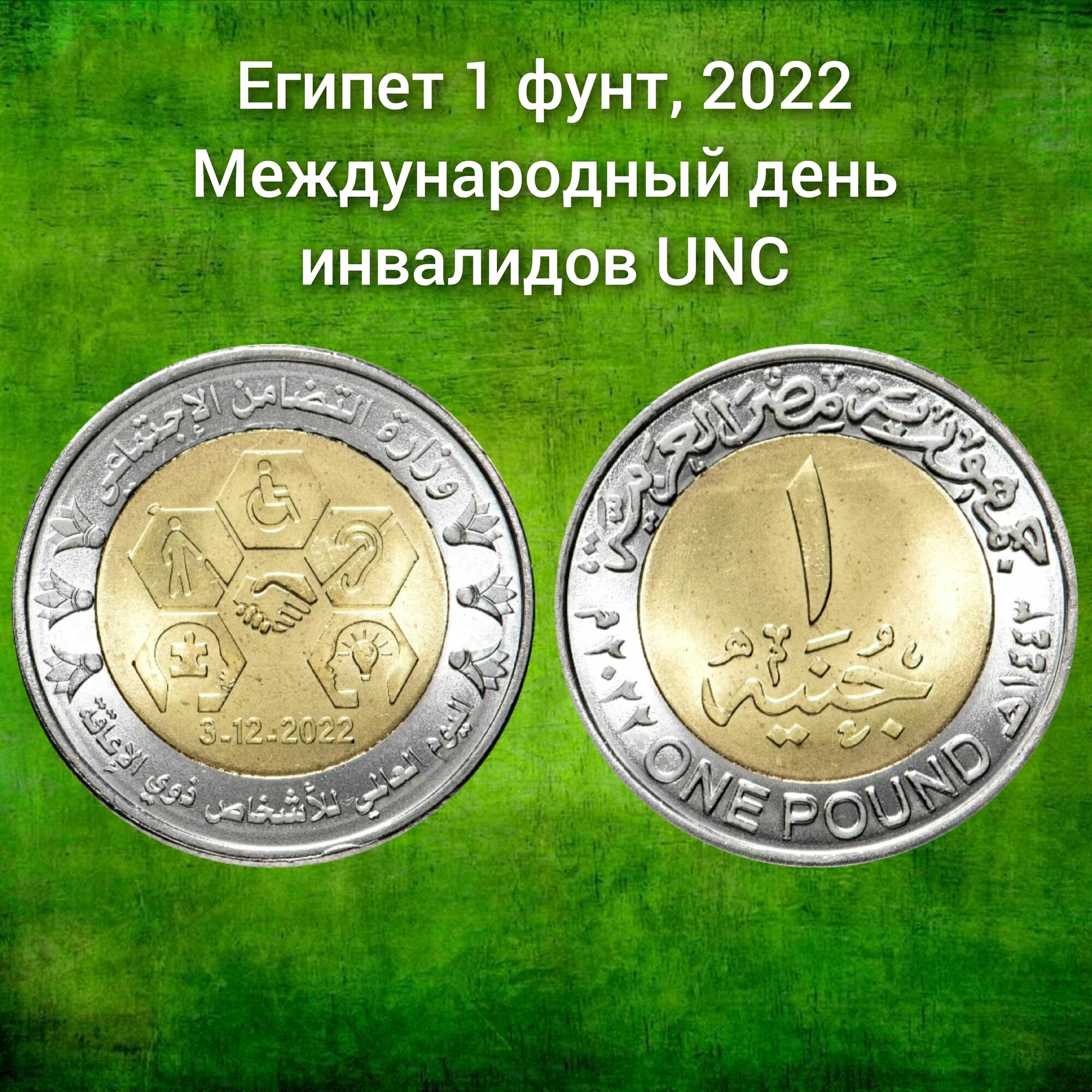 Египет 1 фунт, 2022 Международный день инвалидов UNC