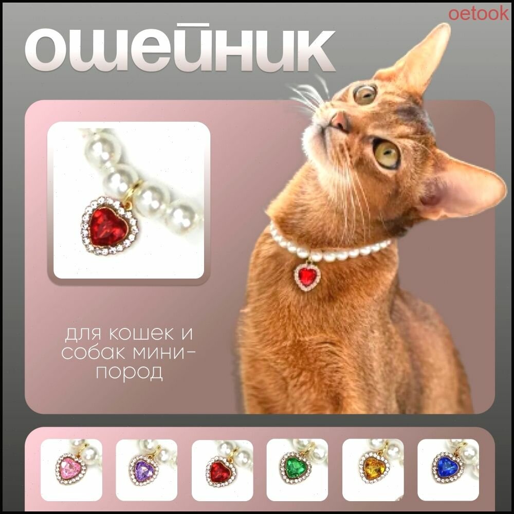 Колье ошейник для кошки и собаки с красным кулоном 15-25см