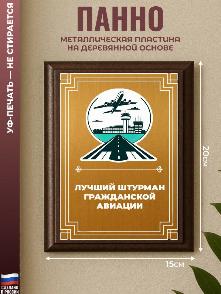 Настенный диплом "Лучший штурман гражданской авиации" Гражданская авиация
