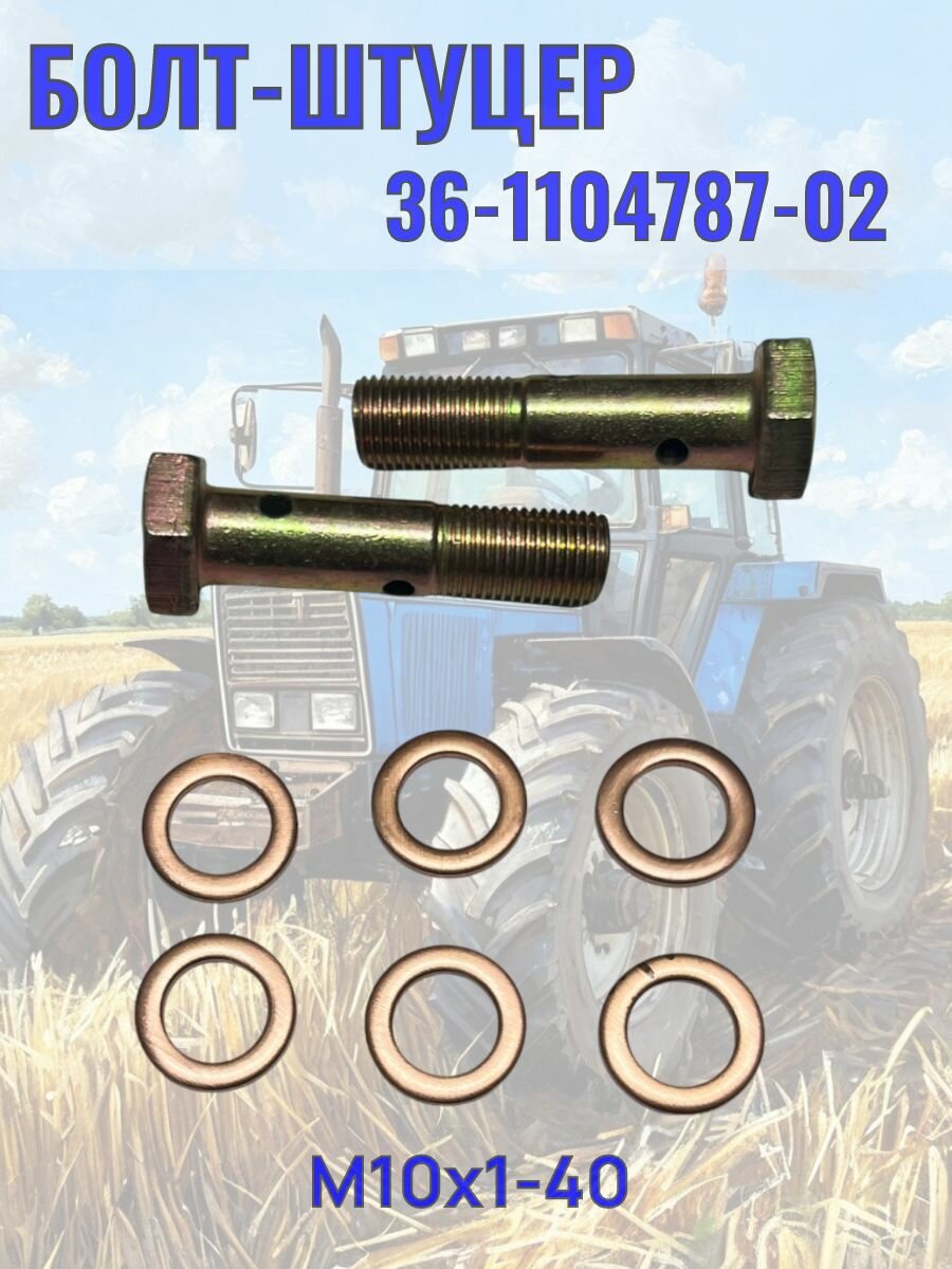 Болт-штуцер М10х1-40, 2 отверстия 36-1104787-02 (2 шт, с шайбами)