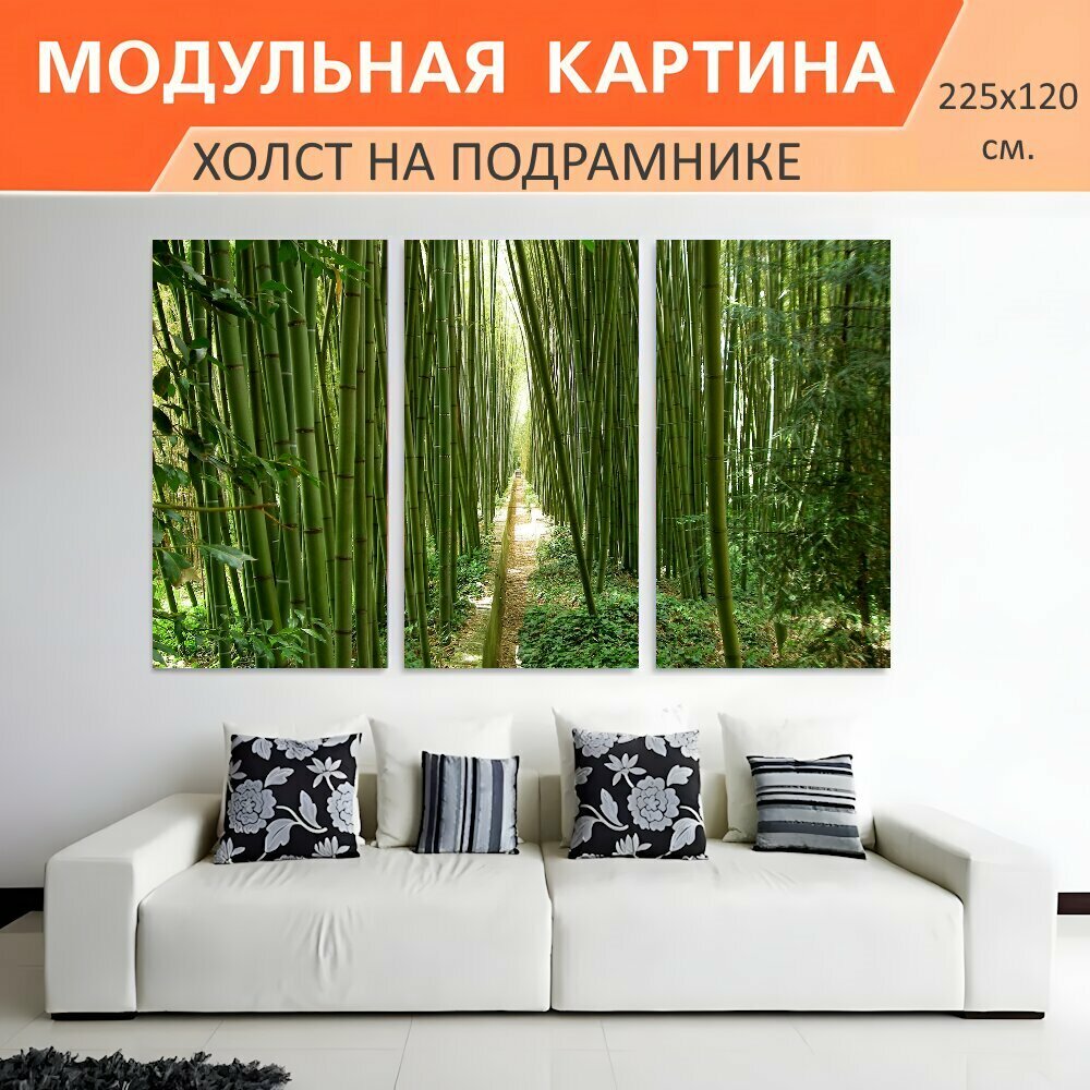 Модульная картина на холсте "Бамбук, сад, японский сад" триптих на подрамнике 225х120 см. для интерьера