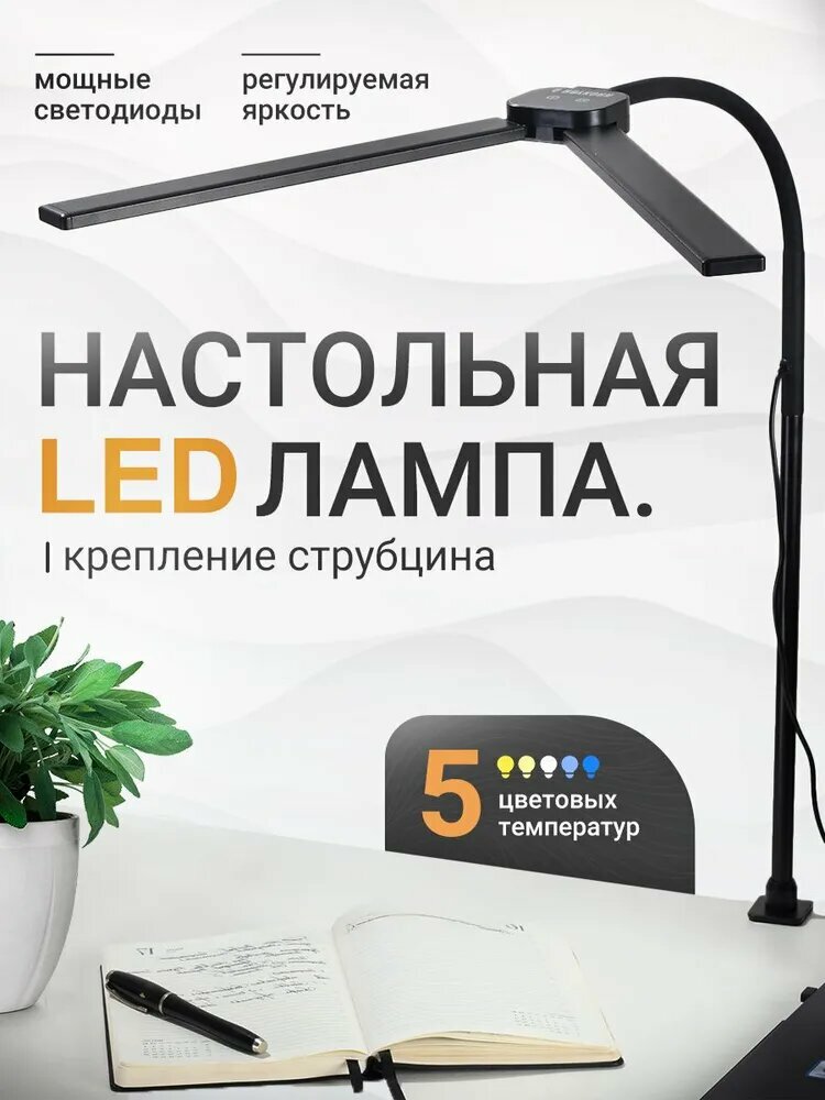 Настольная светодиодная лампа Raykora бестеневая с двумя плафонами и проводом для рабочего стола школьника, офисного сотрудника