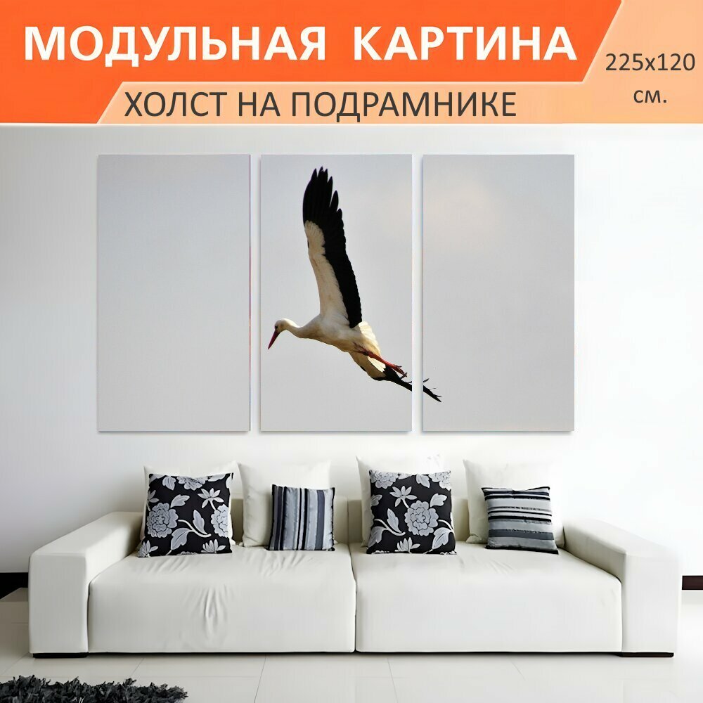 Модульная картина на холсте "Аист, птица, аисты" триптих на подрамнике 225х120 см. для интерьера