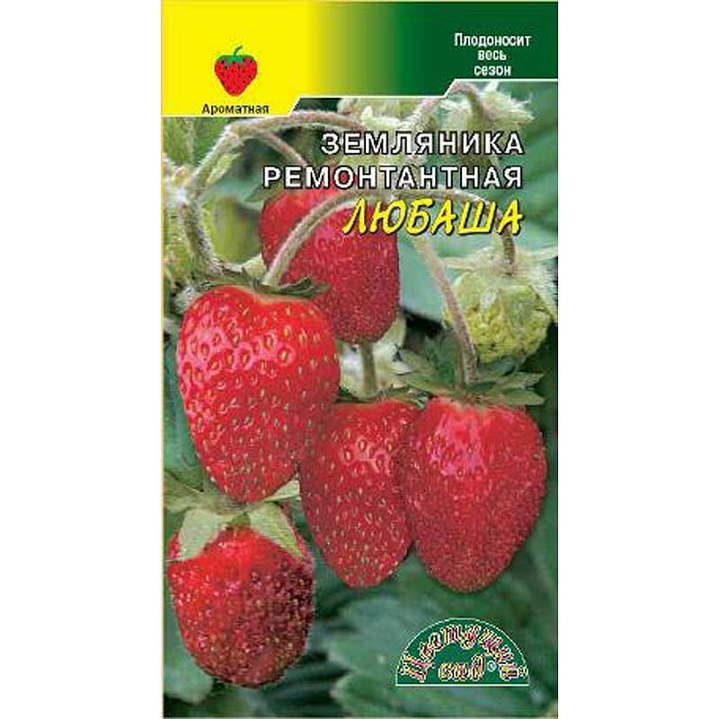 Семена земляника Любаша - ремонтантная , ранняя , крупноплодная . Цветущий Сад.