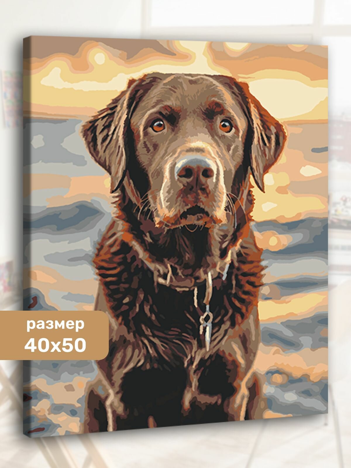 Картина по номерам на холсте Лабрадор шоколадный 40х50