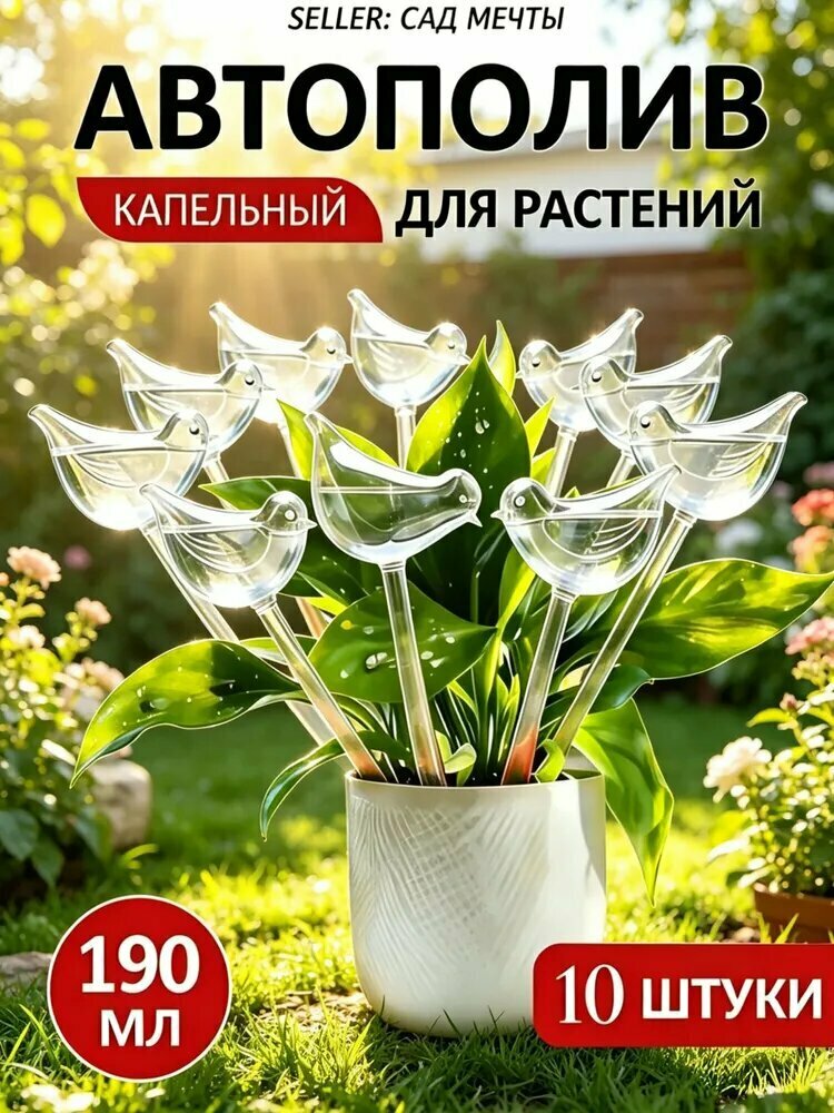 Кашпо с автополивом 6.5 см, 10 шт, цвет прозрачный, белый
