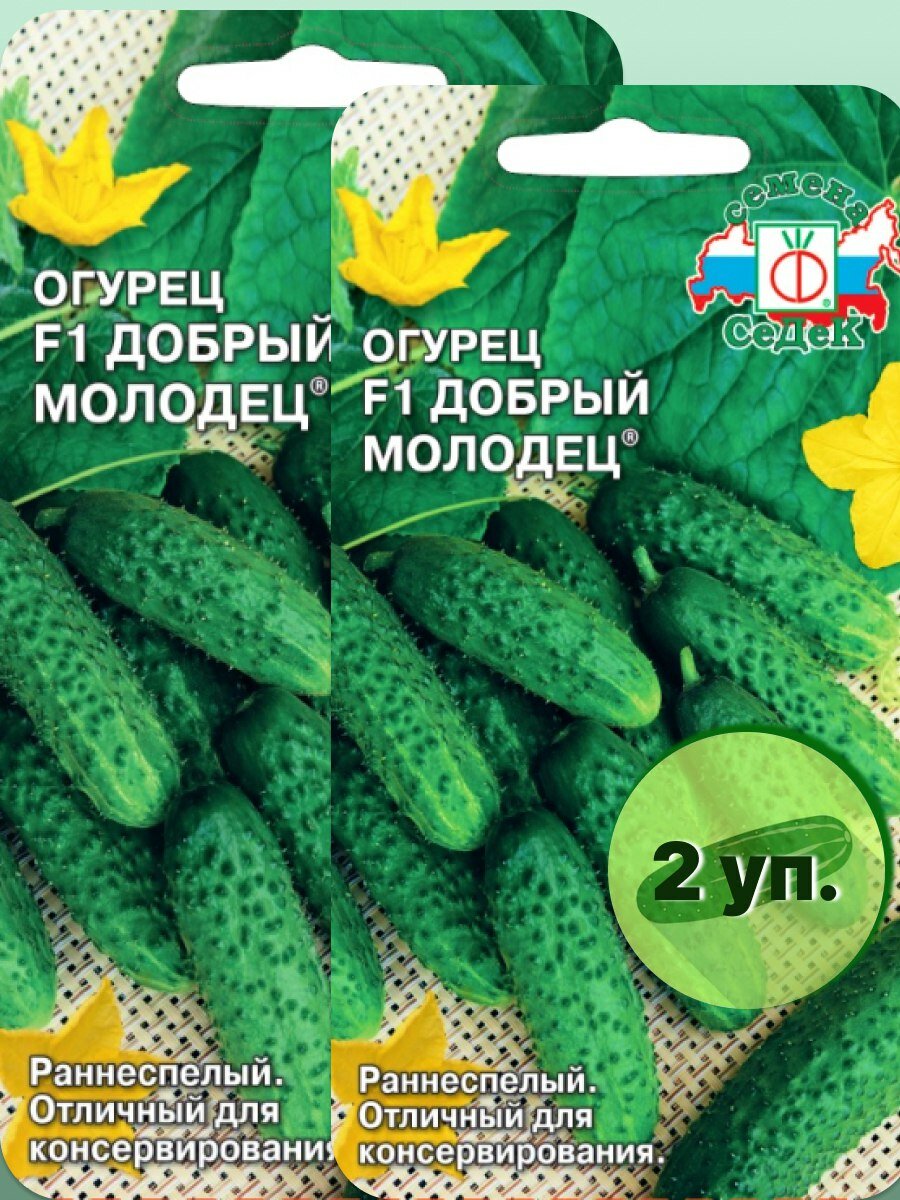 Семена огурца "СеДеК" добрый молодец F1 (2 уп.)