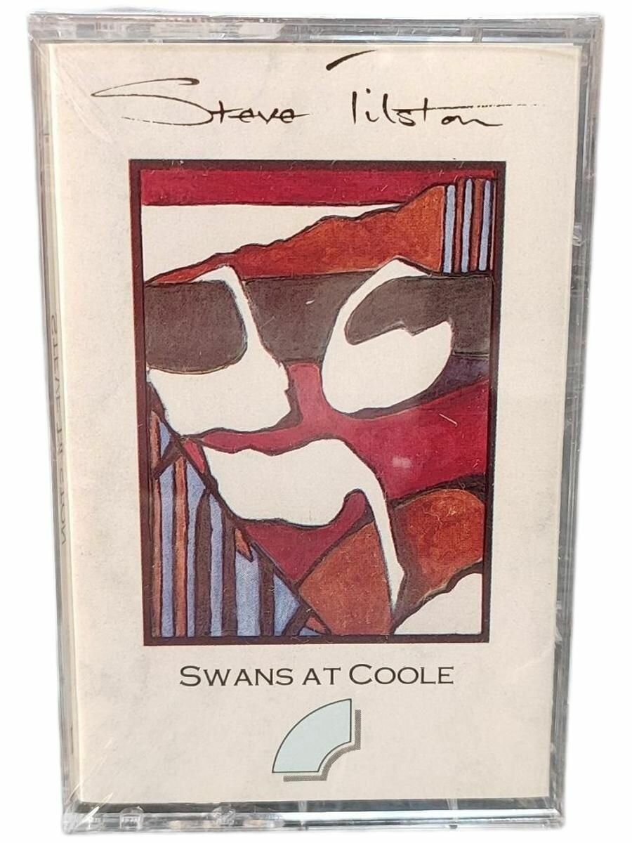 Steve Tilston Swans At Coole, кассета, аудиокассета (МС)