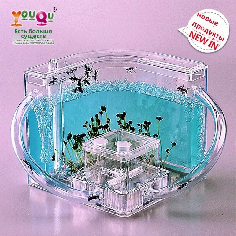 Муравьиная ферма TC