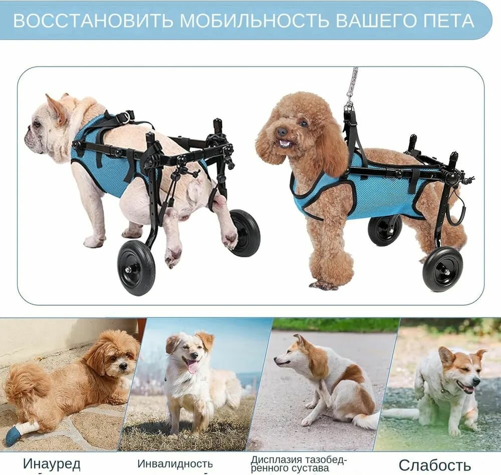 Ходунки для собак — фото 1