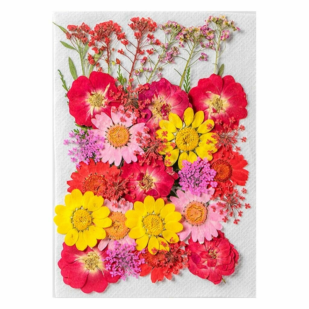 Серия живых цветов в саду, образцы растений, пакеты с материалами, фейерверки