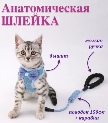 Шлейка для кошек и собак мелких пород, анатомическая, с поводком