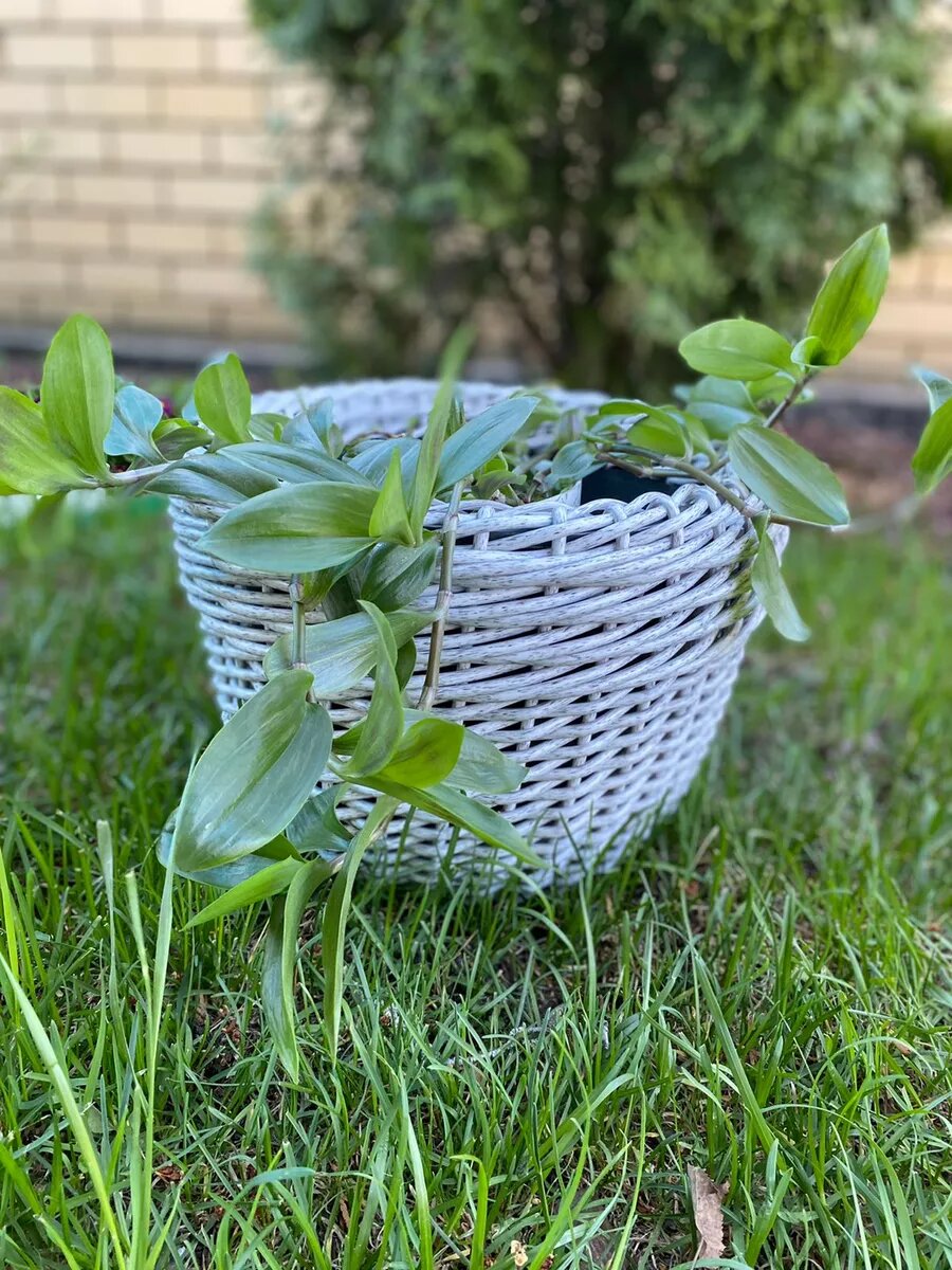 Кашпо напольное из ротанга 12 л уличное белое