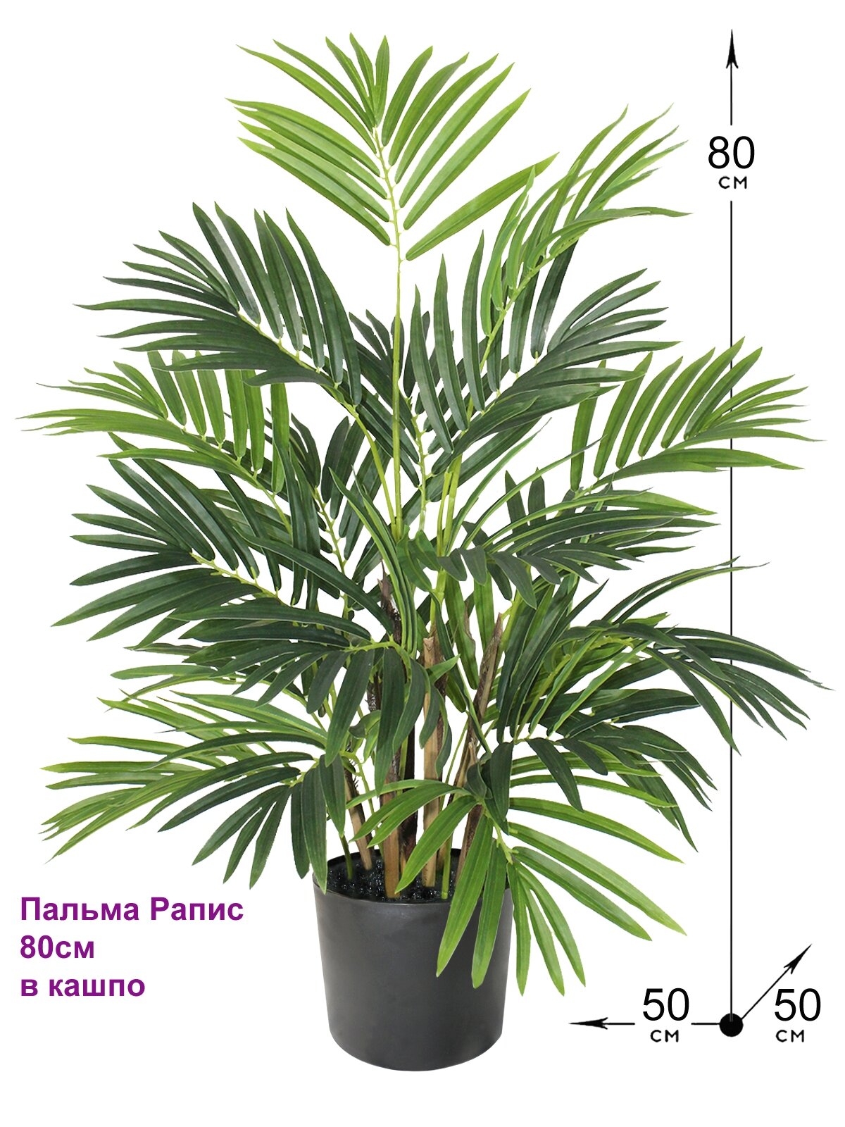 Искусственная Пальма Рапис густая 80см в кашпо от ФитоПарк, растения для для декора дома в кашпо