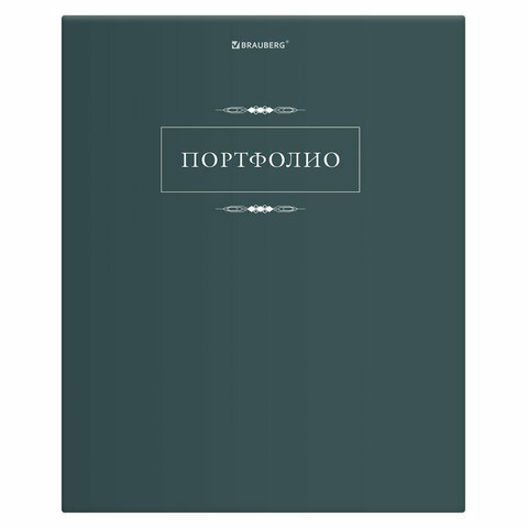 Папка-портфолио универсальная, 4 кольца, 20 файлов 10 вкладышей, 7БЦ матовая, BRGAUBERG, 117554
