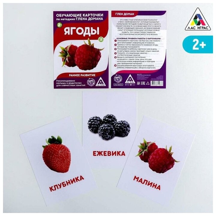 Обучающие карточки по методике Г. Домана «Ягоды», 12 карт, А6