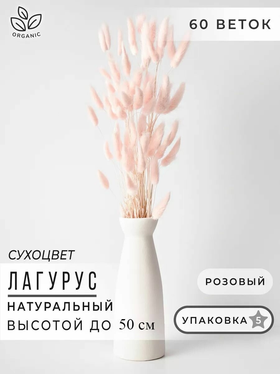 Лагурус сухоцветы для декора интерьера букет из сухоцветов средиземноморский стиль уютный декор для дома