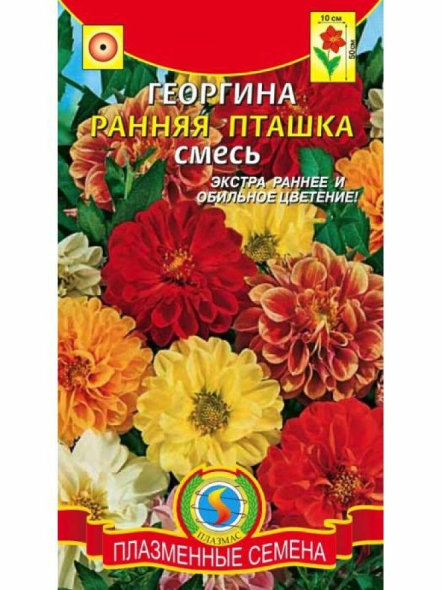 Георгина Ранняя пташка, смесь, 12 шт, Плазменные семена