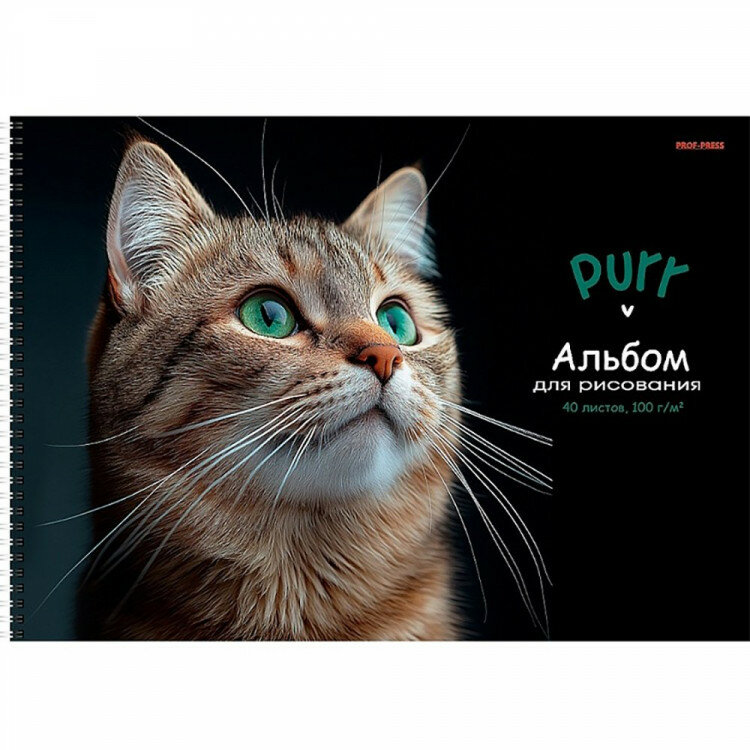 Альбом для рисования 40 листов спираль Prof-Press Зеленоглазый котик кот матовая ламинация выборочный лак арт. А40-8350. Количество в наборе 2 шт.