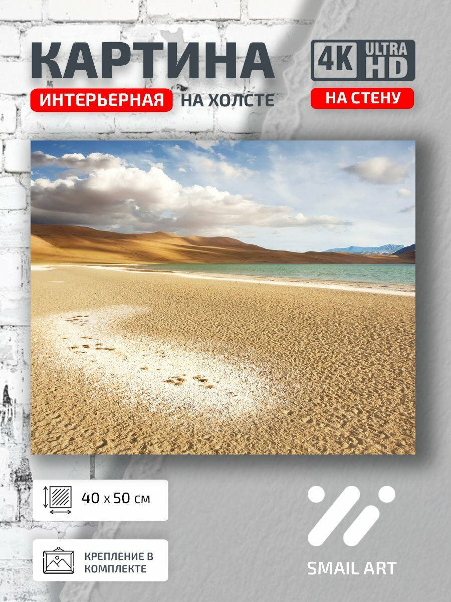 Картина на холсте интерьерная 40 на 50 на стену Пляж Landscape для кабинета пейзаж интерьер