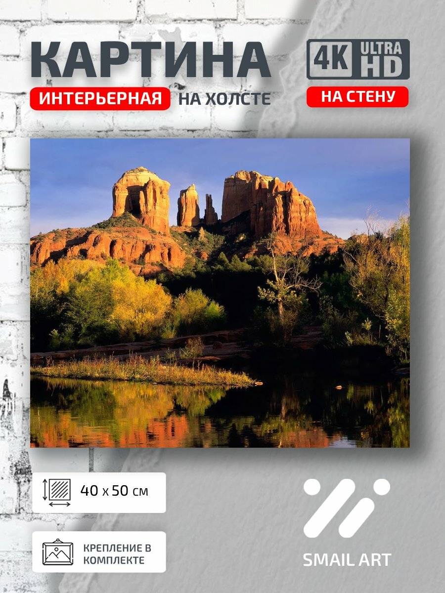 Картина на холсте интерьерная 40 на 50 на стену Аризона Arizona для кафе animal style декор