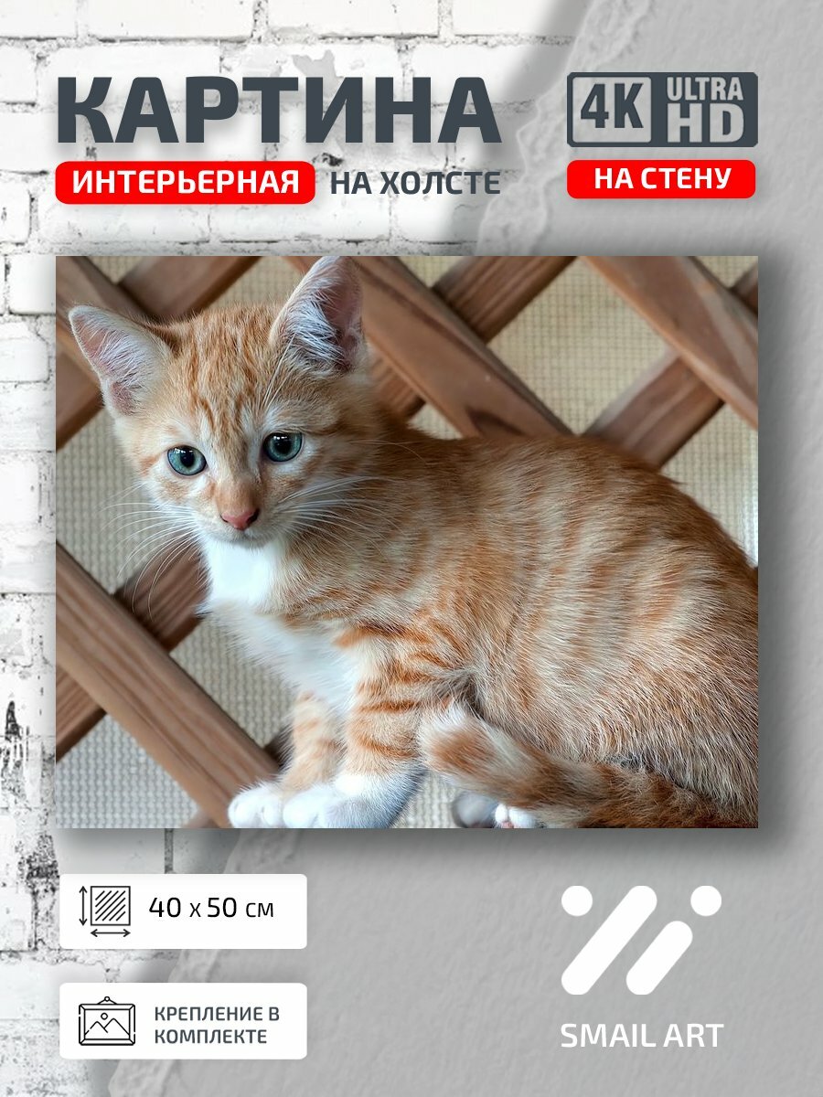 Картина на холсте интерьерная 40 на 50 на стену Рыжий Landscape для кабинета пейзаж декор