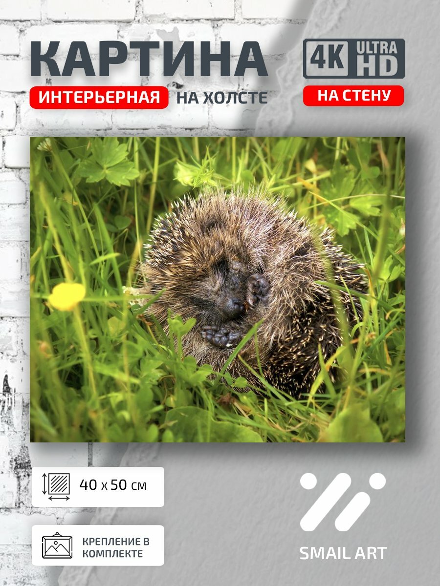 Картина на холсте интерьерная 40 на 50 на стену Траве Mood для кабинета атмосфера интерьер