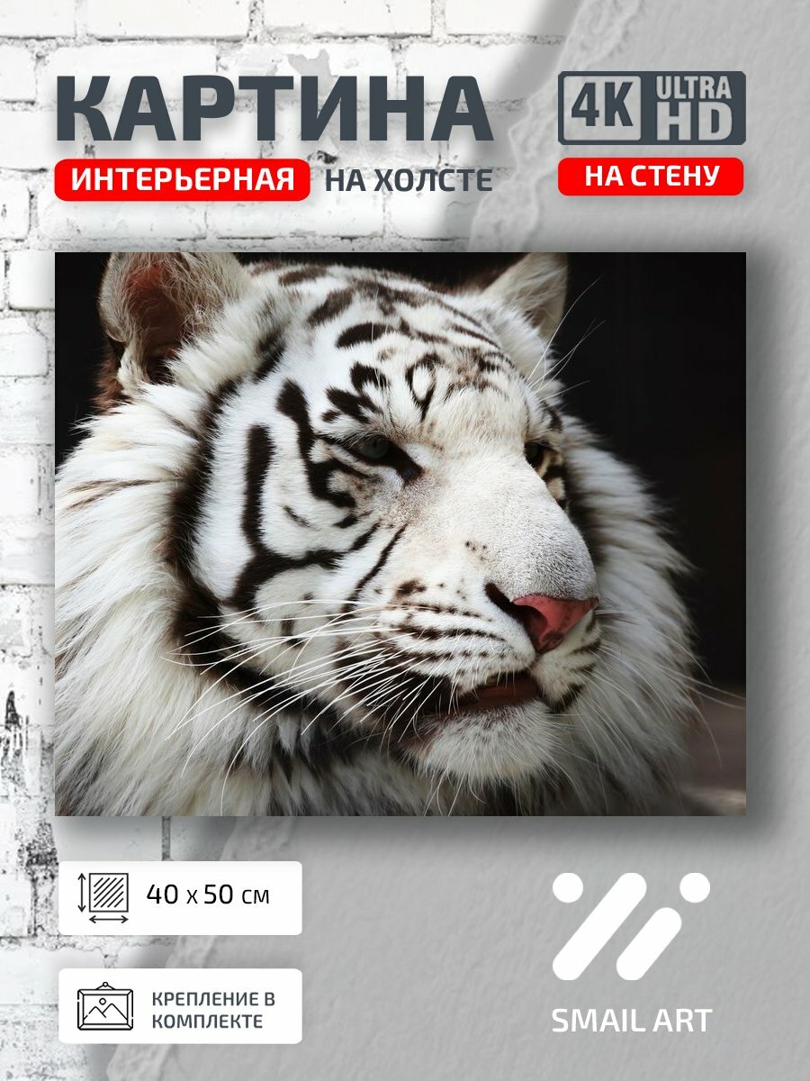 Картина на холсте интерьерная 40 на 50 на стену Тигр Landscape для офиса пейзаж интерьер