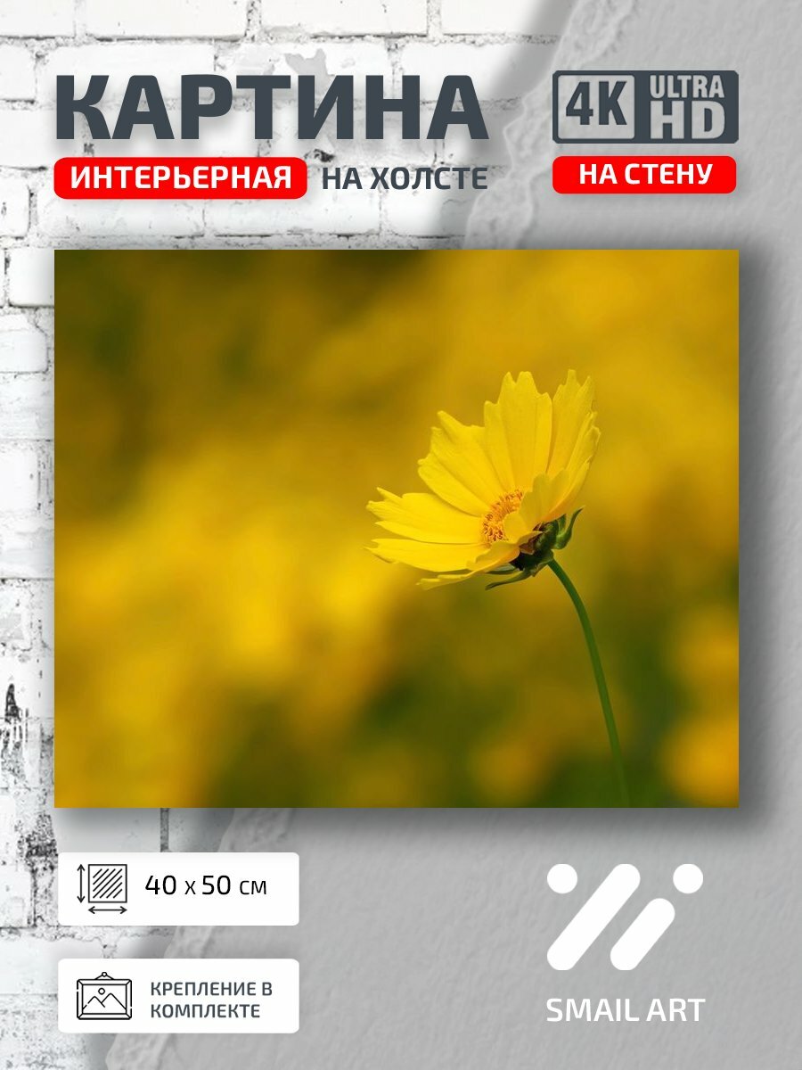 Картина на холсте интерьерная 40 на 50 на стену Желтый Mood для студии атмосфера интерьер