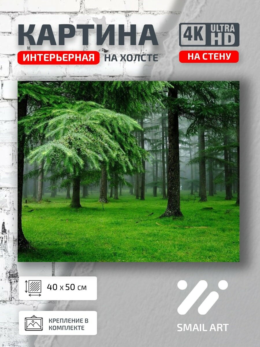 Картина на холсте интерьерная 40 на 50 на стену Природа Лес для гостиной пейзаж