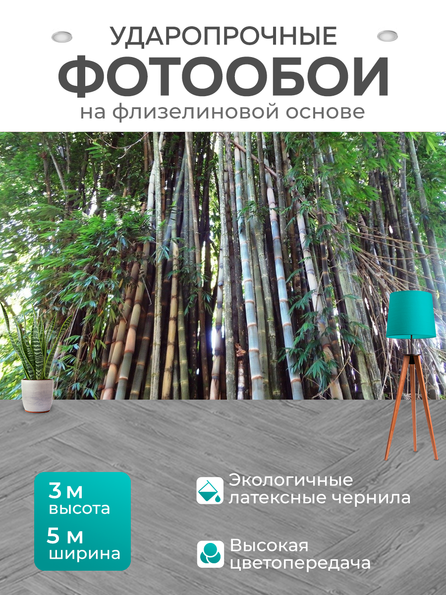 Фотообои моющиеся ударопрочные "Бамбук, бамбуковая роща" 500x300 см. флизелиновые на стену