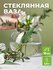Ваза