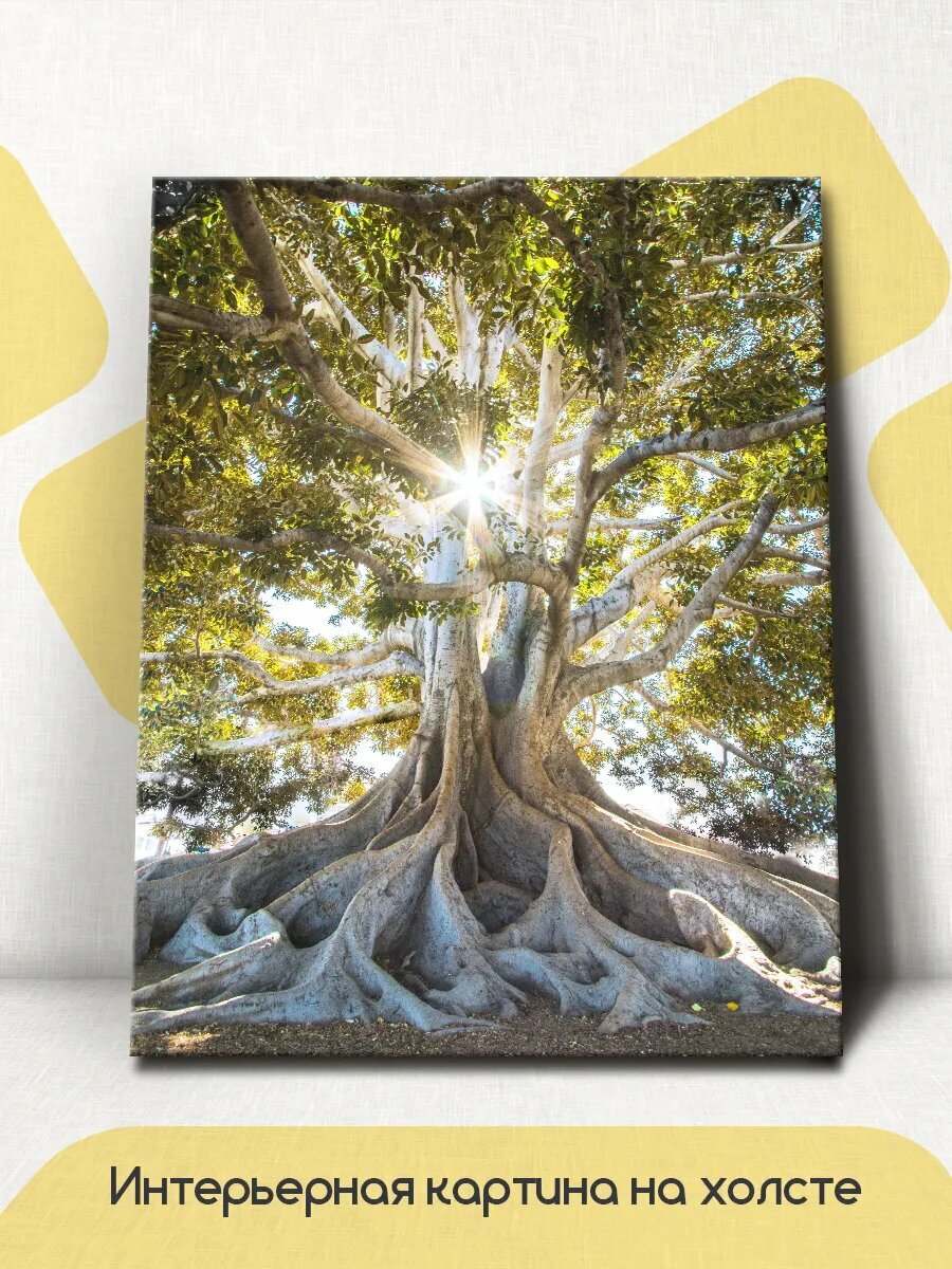 Картина на стену интерьерная Дерево, Солнце, Пейзаж 30x40 см