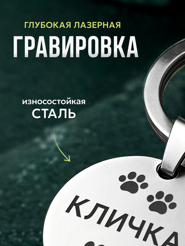 Адресник для собаки и кошки с гравировкой, нерж. сталь, серебристый, Симба — фото 1