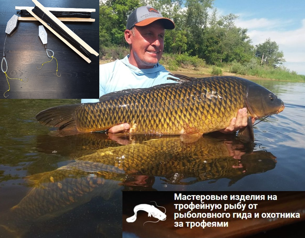 Макушатник на сазана, карпа в виде донки с крючками от мастера (набор 3 шт)