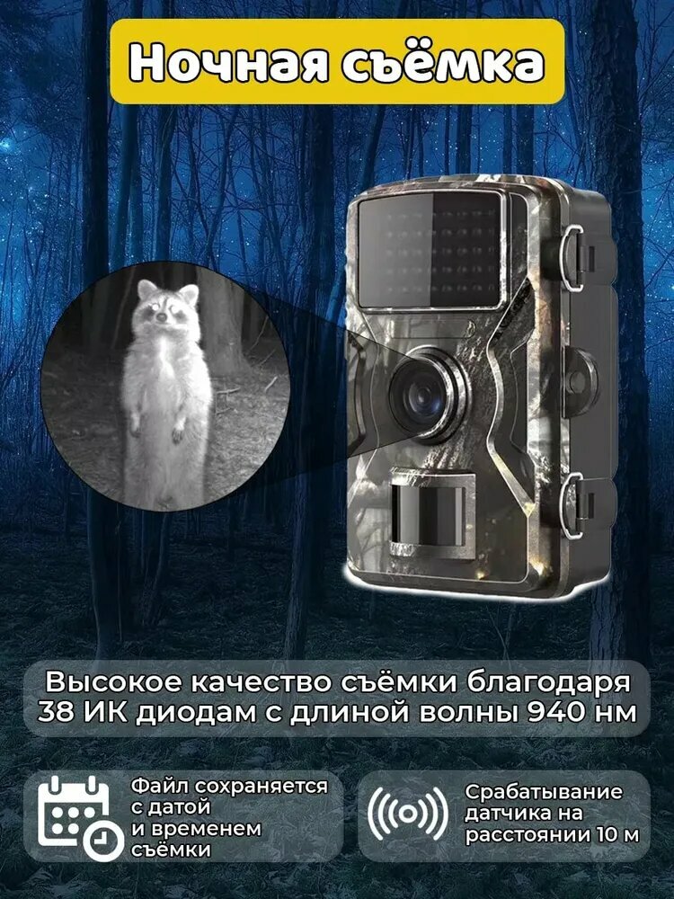 Фотоловушка — фото 1