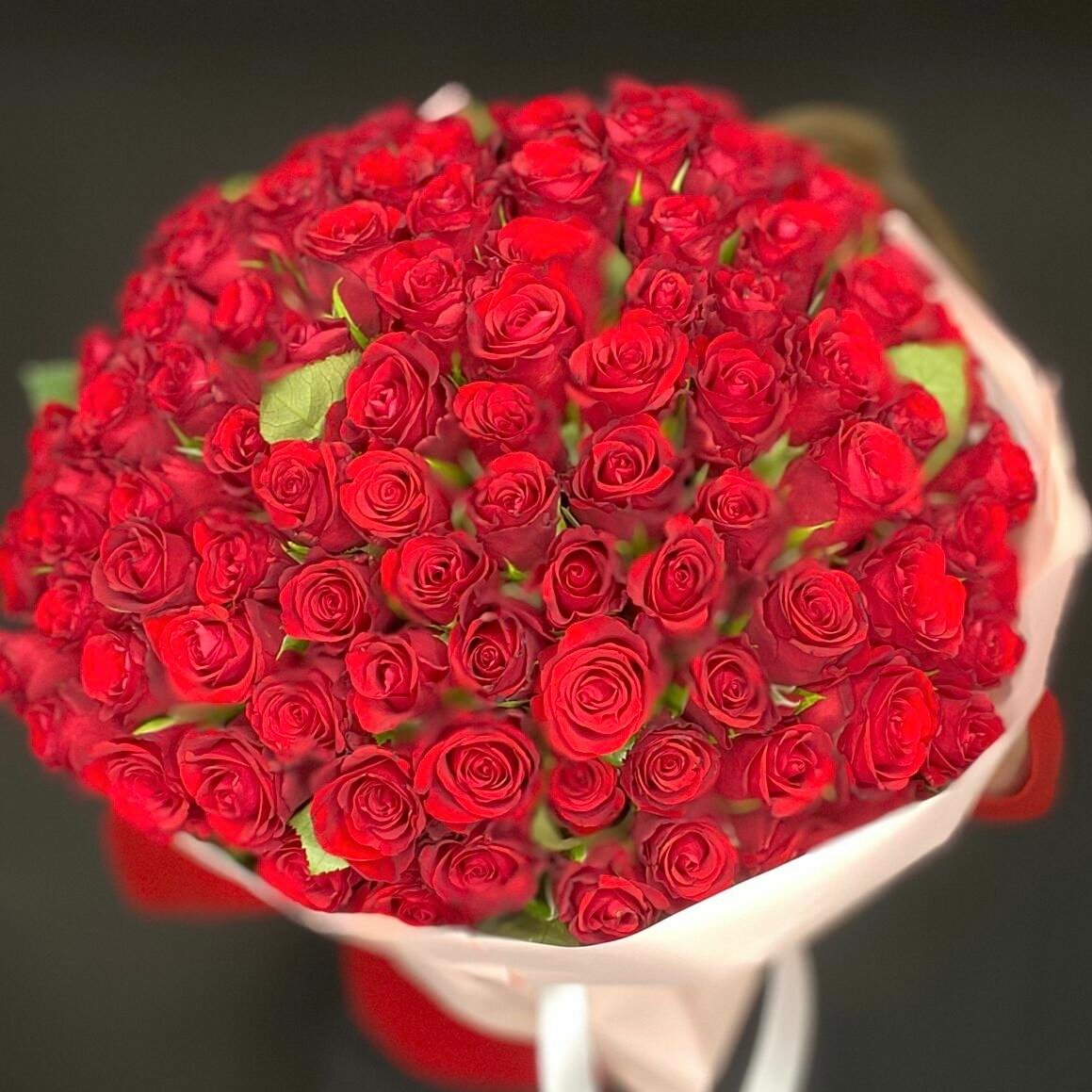 101 красная роза