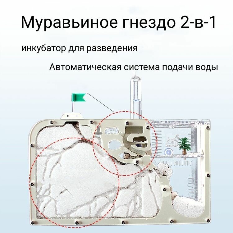 Муравьиная ферма Стартовая декор и корм в подарок! Формикарий для муравьев -kpa
