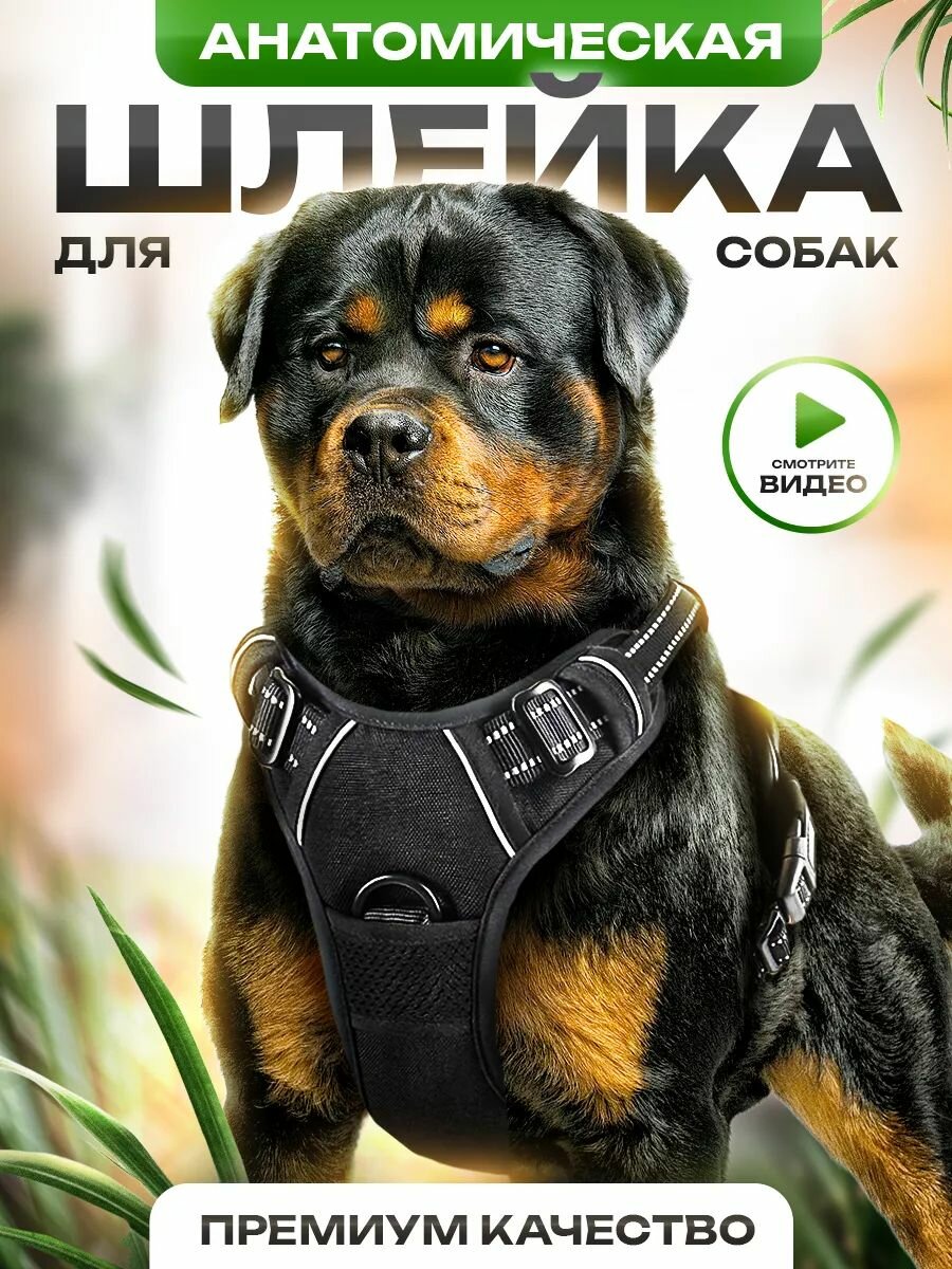 Шлейка для собак средних и крупных пород анатомическая, чёрная, размер M