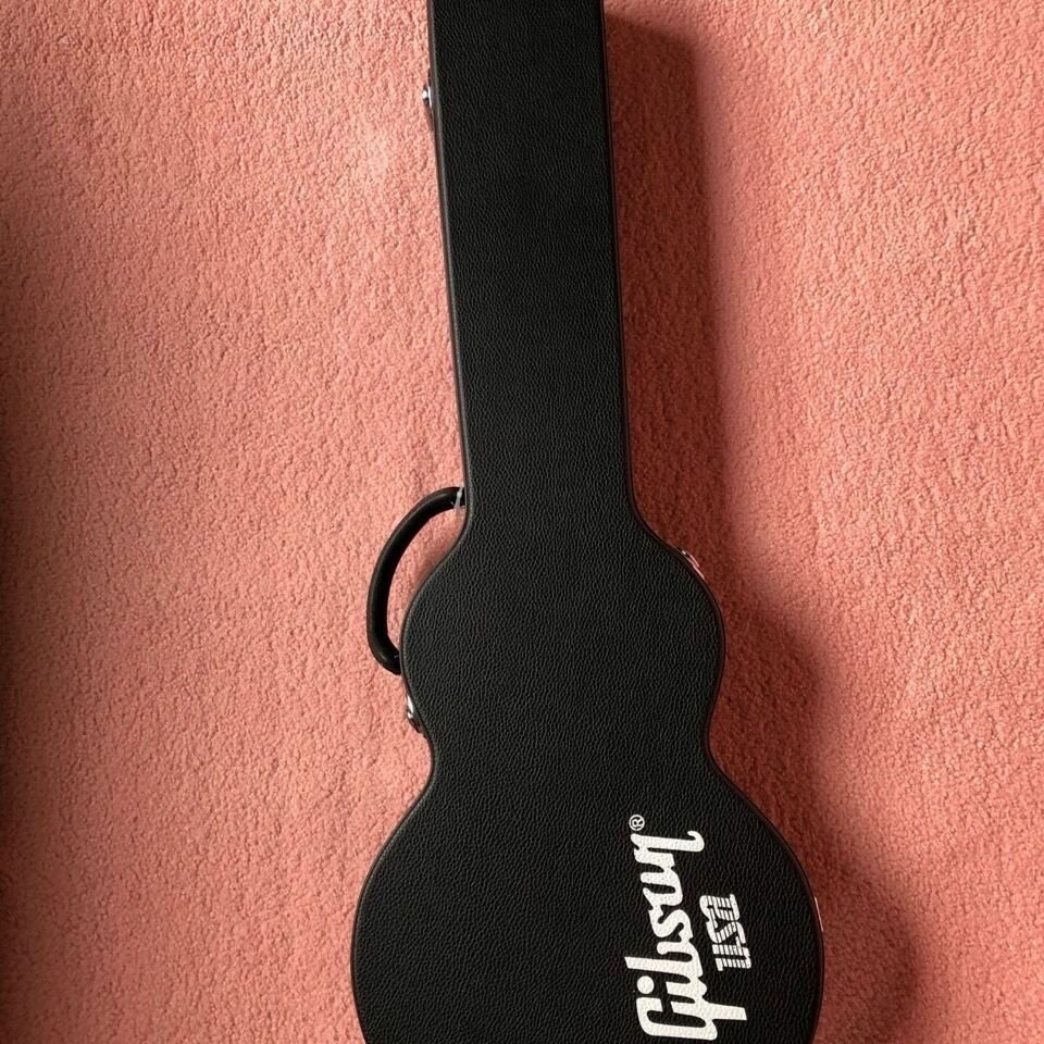 Чехол для гитары SG