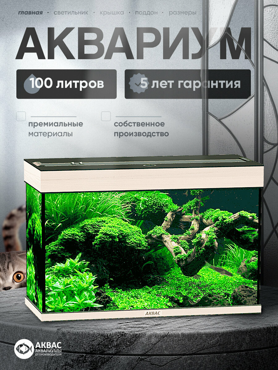 Аквариум 100 литров с крышкой и освещением, (76*31*52 см) Аквас